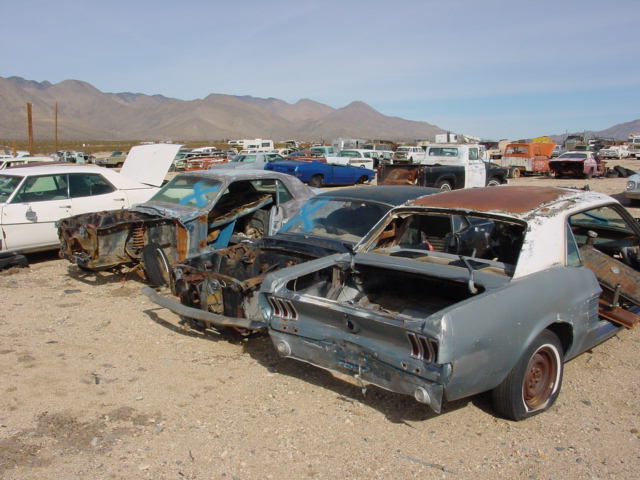 Junk Yard Mustangs